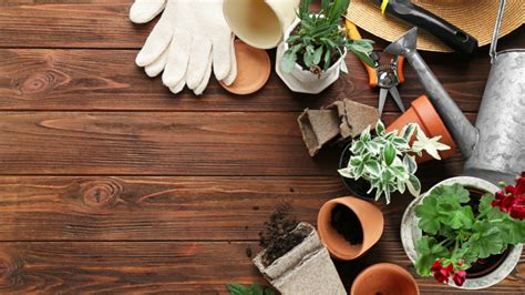 Las herramientas de jardinería esenciales para tu huerto
