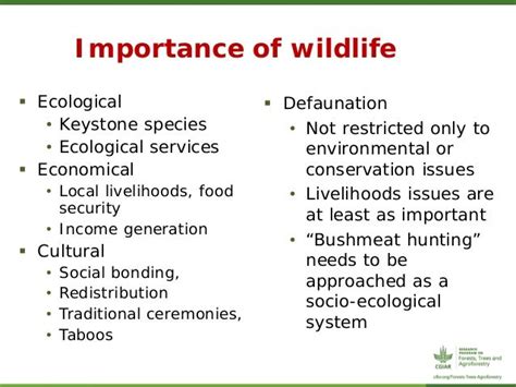 ️ Conservation Of Wildlife Importance The Reason Why Wildlife