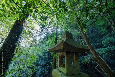 Stock Adobe Stock
