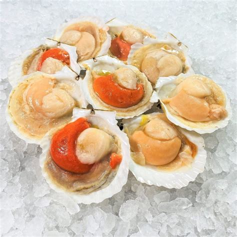 Half Shell Scallop 1kg Fisk