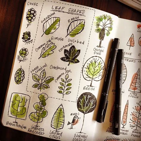 Sketchbook On Behance Sketchbook Drawings Sketchbook Pages Sketchbook Journaling Ink