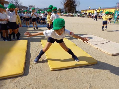 体育ローテーションとチューリップの成長 きりん幼稚園
