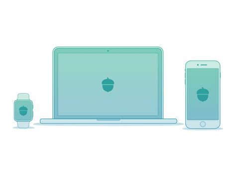 Acorns Product Illustrations By Matt Zelazo For Acorns On Dribbble