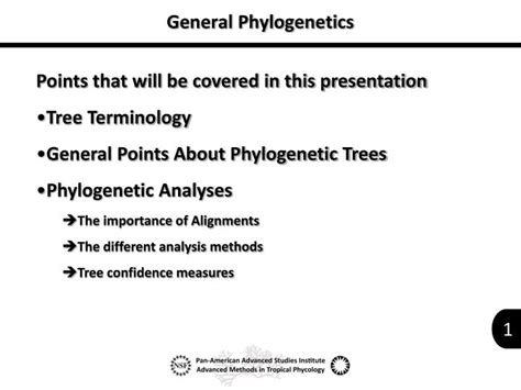 PPT General Phylogenetics PowerPoint Presentation Free Download ID 3351256