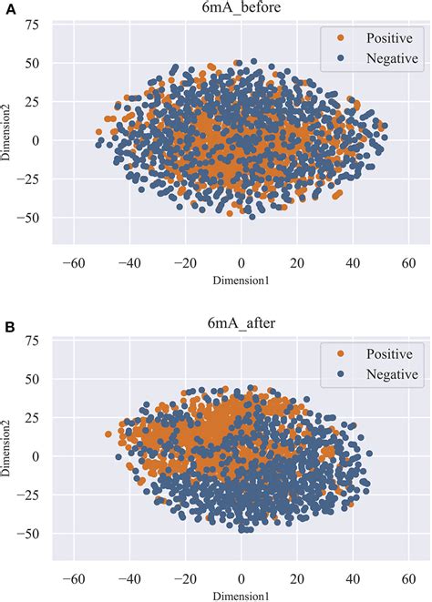 T SNE Visualization Of The Feature Space Before And After Feature