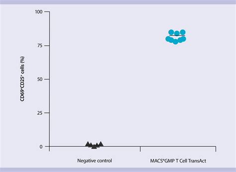 Gmp Car T Cell Activation Macs Gmp T Cell Transact Miltenyi Biotec 中国