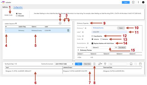 Dictionary Options For Token Labeling