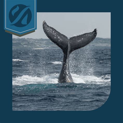 Cet Program Keresztény Vállalkozásindítás