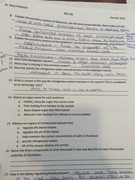 Solved Explain The Excretory Systems Of Flatworms Use The