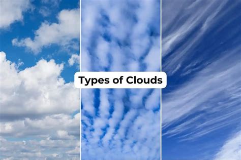 3 Types Of Clouds By Shape Pictures Diagrams Illustrations Wildlife Informer