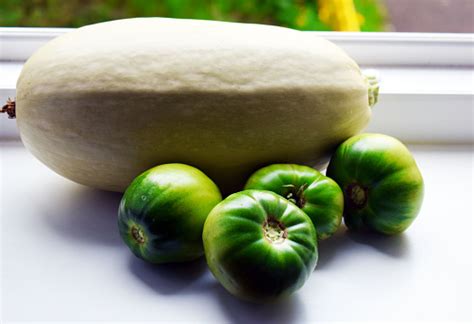 아직도 생활의 소박한 야채 호박 오이 토마토 딜 자연 야채 통조림에 대 한입니다 겨울을 위한 준비입니다 마 생활입니다 채식 음식입니다 당신의 정원에서 수확 0명에 대한 스톡