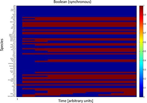Synchronous Boolean Model All Species In Apoptosis Network Are Mapped