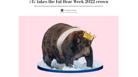 At 635kg Bear Force One Takes Home Fat Bear Week France 24