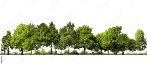 Tree Line In Isolation With A Checkered Background Featuring A Row Of Green Trees And Shrubs In