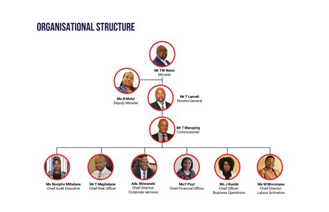 Organogram Structure