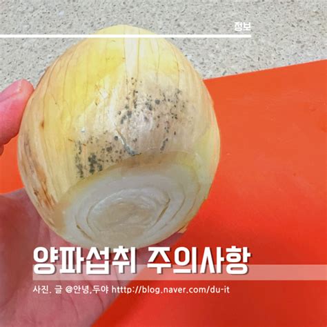 양파 곰팡이 그리고 싹난 양파 버릴까 먹을까 고민되시죠알려드릴게요 네이버 블로그