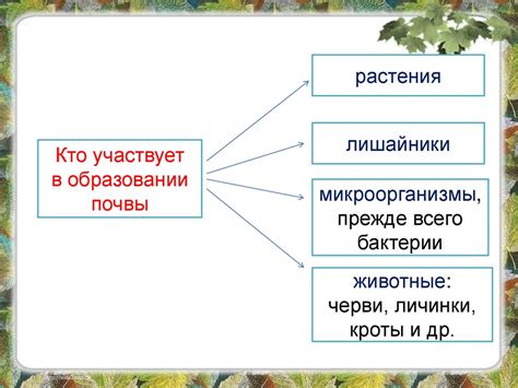 Почва Основа образования почвы презентация онлайн