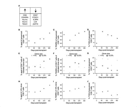 Single Cell Sequencing Reveals An Association Between Aging And Cd8 T Download Scientific