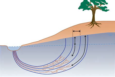 20 Extraordinary Facts About Darcy Lapier