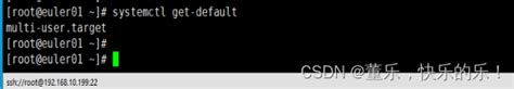 你好，openeuler （十、openeuler启动管理） openeuler 开机启动 csdn博客