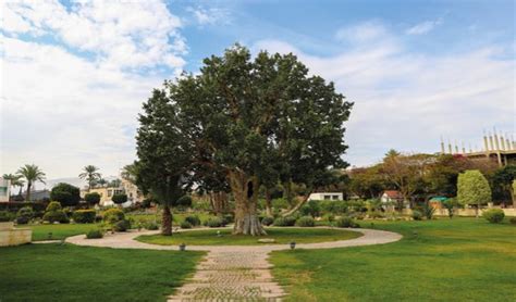 Improving The Tourism Offer In Palestine Deeb G Dides