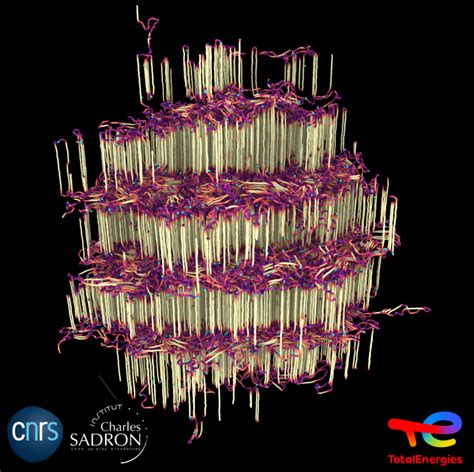 Molecular Simulations A New Way To Control The Crystallization Of Industrial Polymers Archyde