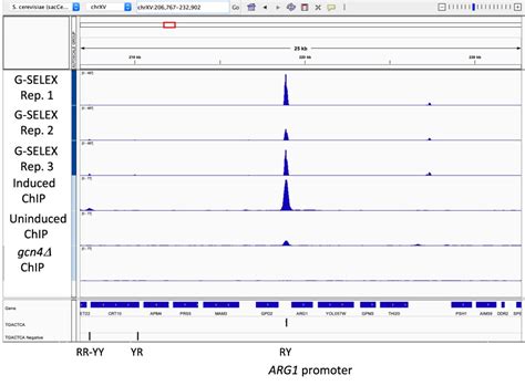 A Systematic Genome Wide Account Of Binding Sites For The Model