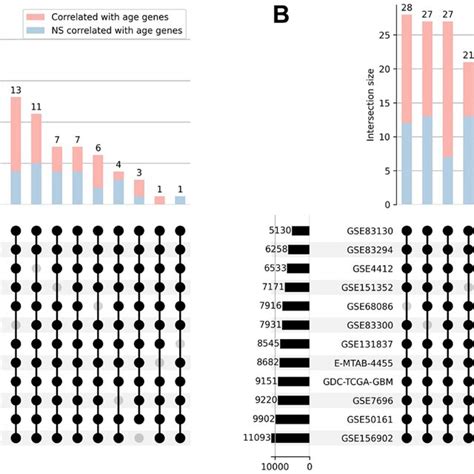 Correlation Analysis Upset Plots 30 Representing The Overlap Of Download Scientific Diagram