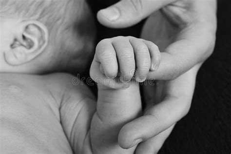 Baby Holding Finger Of Parent Stock Image Image Of Hands Grasps