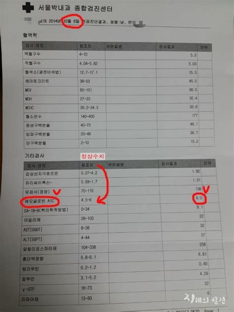 당뇨수치 내리는 법 당화혈색소헤모글로빈a1c 네이버 블로그