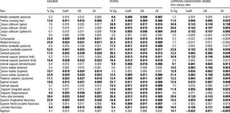 Associations Between White Matter Fractional Anisotropy And