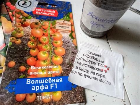 Томаты Волшебная арфа F1 цвета спелого абрикоса - моя находка для ...