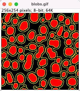 ImageJ Transformada de imágenes Introduction to Bioimage Analysis