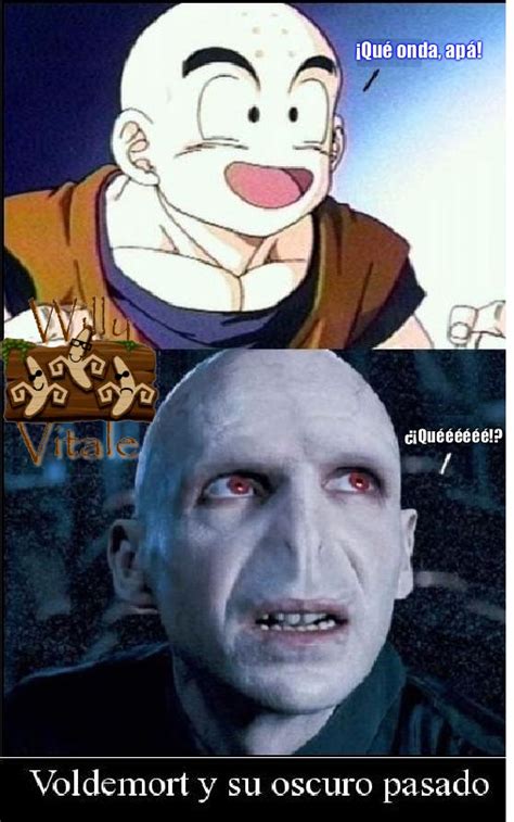 Willy Es La Ley