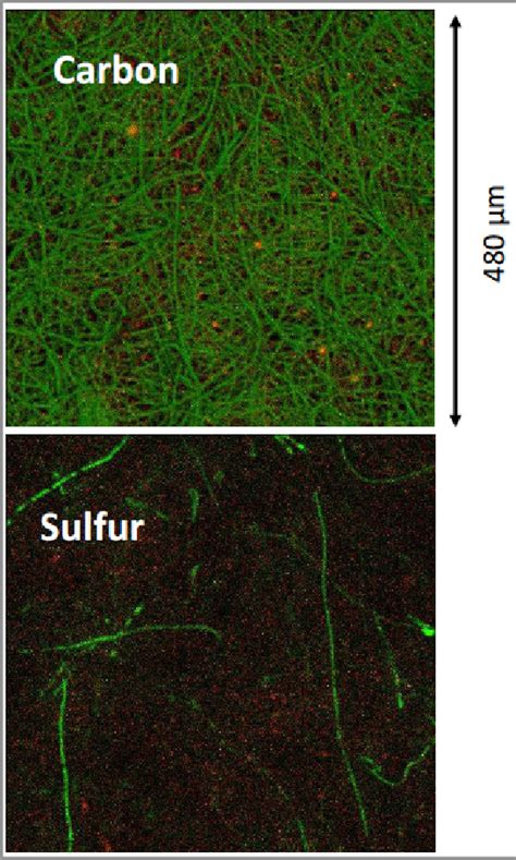 Elemental Distribution Maps Of C And S On The Pm25 Sample Collected At Download Scientific