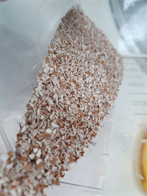 시금치 심는시기 씨앗 파종시기 심는법 시금치심기 키우기 재배 방법 네이버 블로그