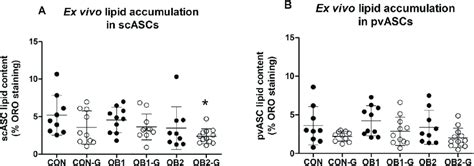 Quantification Of Intracellular Lipid Accumulation In Ex Vivo Asc