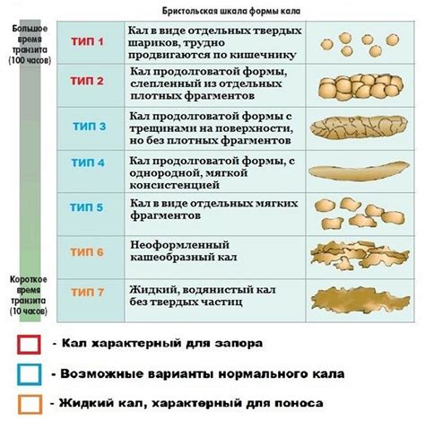 Виды Кала Фото Telegraph