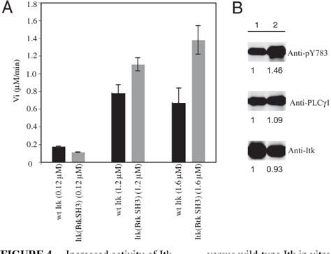 Figure 1 From Signalingself Association Of Itk Enhances T Cell Disrupting The Intermolecular