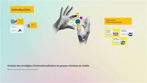 Analyse Des Stratégies Dinternationalisation Du Groupe Chimique De