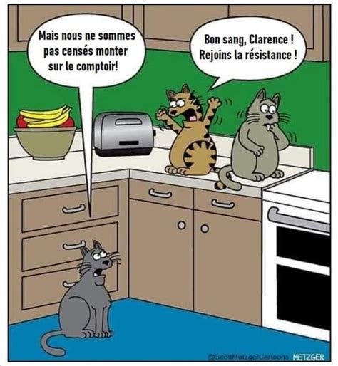 LÂme Des Animaux