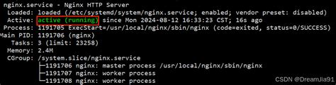 linux 安装nginx 并配置启动 已实测 linux启动nginx csdn博客