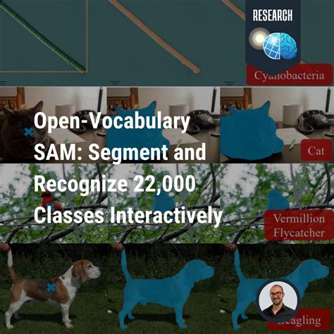 Ai Ml Llms Opensource Datascience Machinelearning Programming