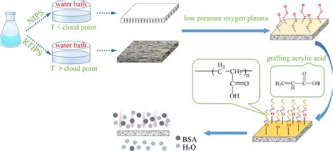 Journal Of Applied Polymer Science Wiley Online Library