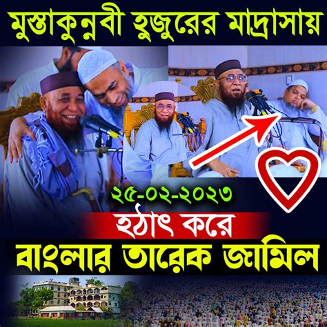 মুস্তাকুন্নবী হুজুরের মাদ্রাসায়র হঠাৎ করে বাংলা তারেক জামিল নজরুল