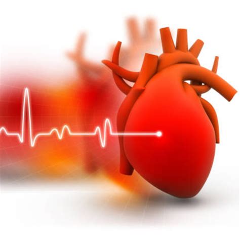 बिना किसी मेडिकल टेस्ट घर में पता करें हार्ट की ब्लॉकेज ये 3 काम देंगे एकदम सही रिपोर्ट