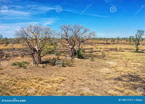 Gibb River Road In The Kimberley Of Western Australia Stock Image