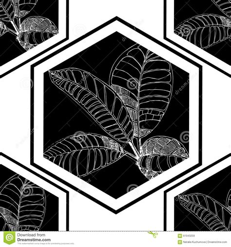 Seamless Floral Pattern Stock Vector Illustration Of Decorative