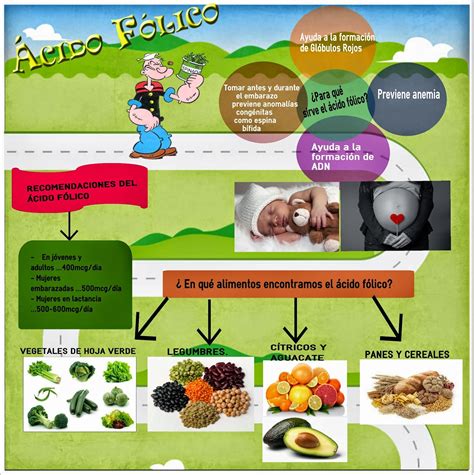 Cuaderno De Salud Y Dietética Infografia Beneficios Del Hierro