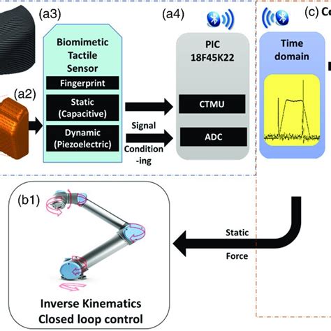 Illustration Of The Fingerprint‐enhanced Biomimetic Sensor And Its Download Scientific Diagram